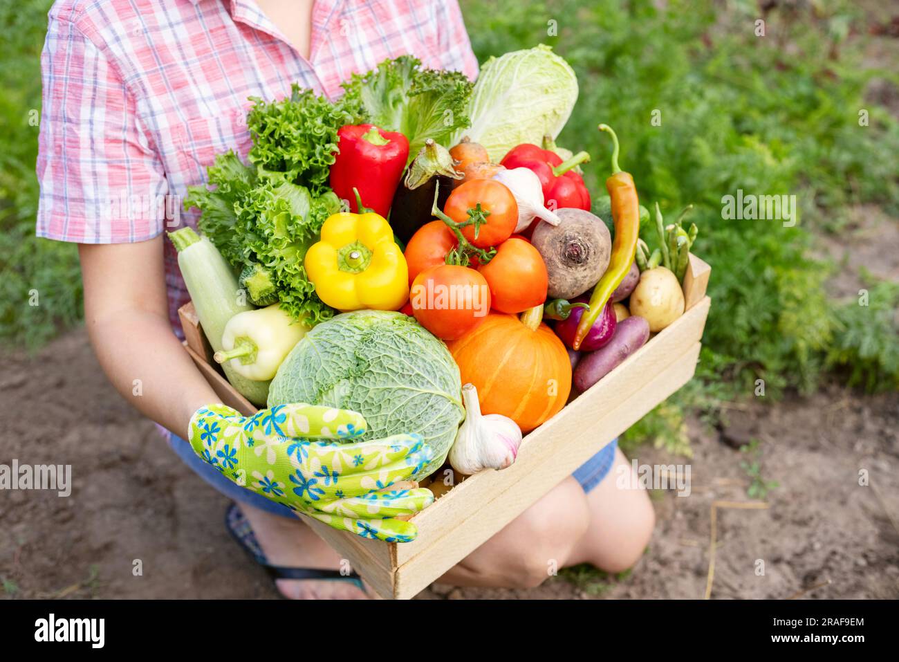 A farmer woman holding wooden box full of fresh raw vegetables in her ...