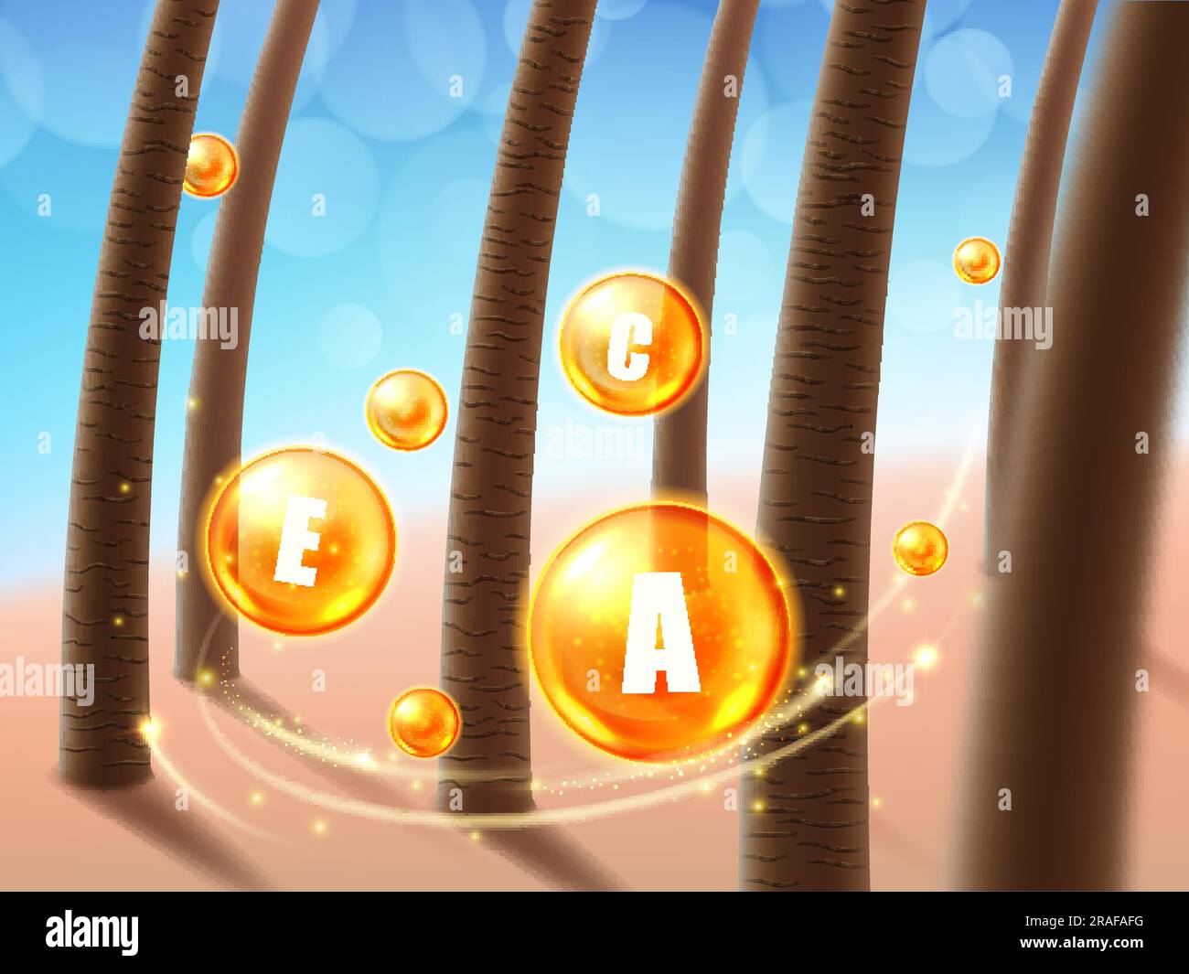 Hair root cell 3d Stock Vector Images - Alamy