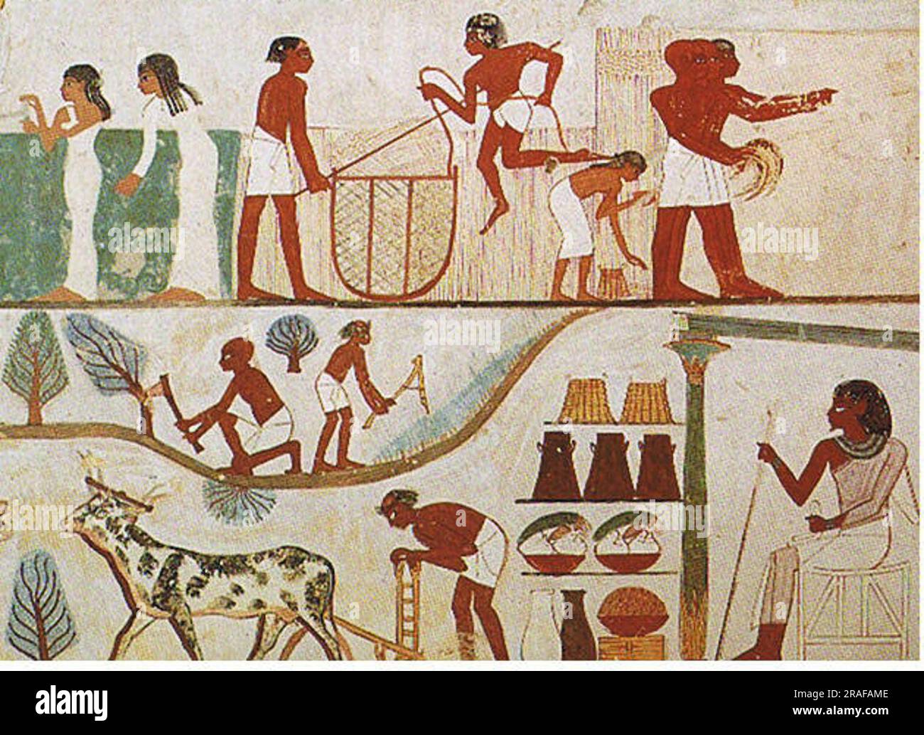 Agricultural Scene from the Tomb of Nakht, 18th Dynasty Thebes 1390 BC ...