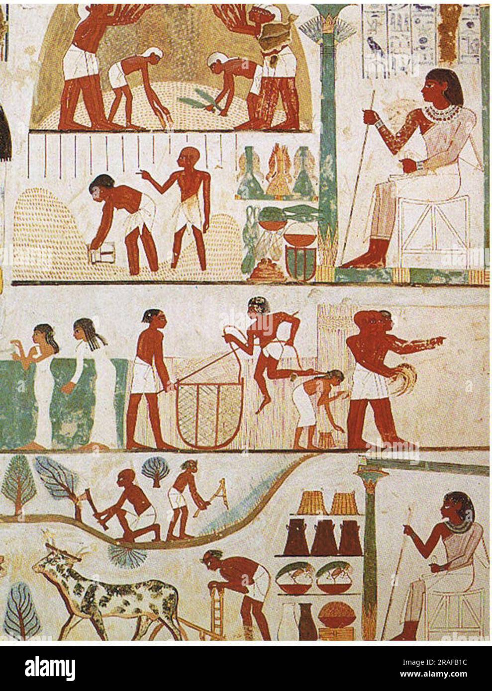 Agricultural Scenes of Threshing 1390 BC by Ancient Egypt Stock Photo ...