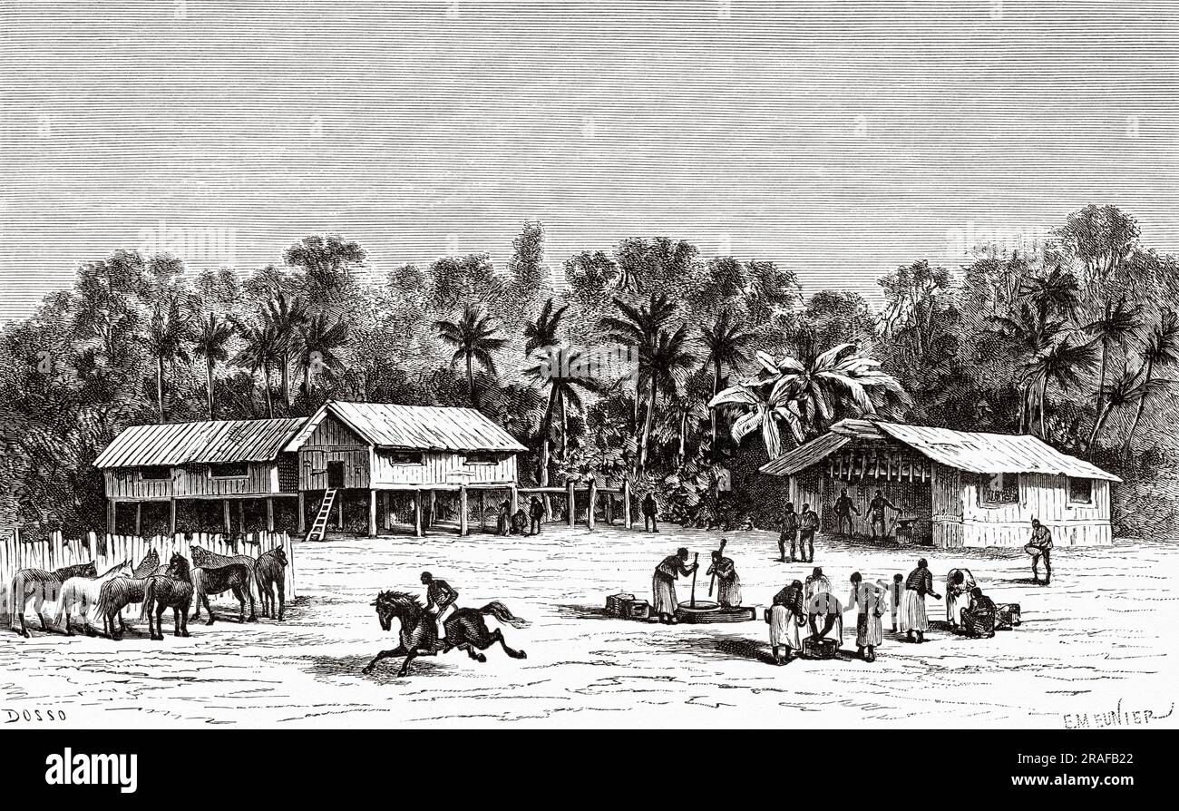 Tree House Of Bagobo Tribe