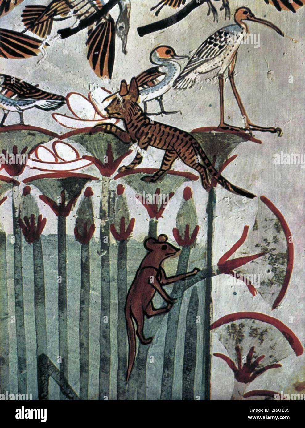 Hunting and Fishing, Cat and Ichneumon 1411 BC by Ancient Egypt Stock ...