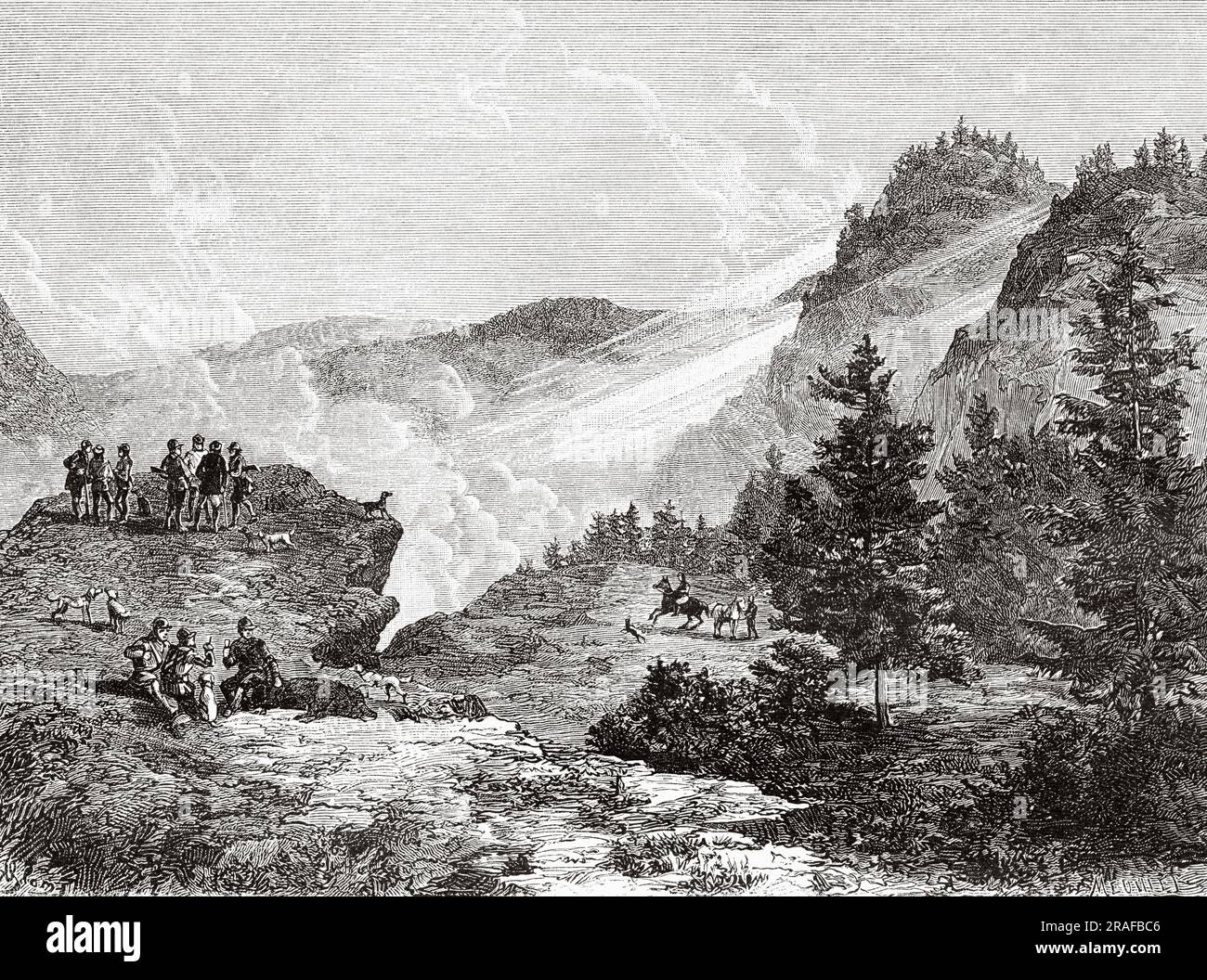 A hunting day at Tanet-Gazon du Faing Nature Reserve, Vosges Mountains ...