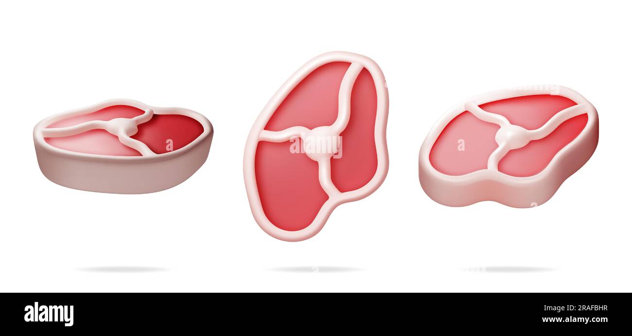 3D Meat Steak from Different Angles Collection Stock Vector Image & Art ...