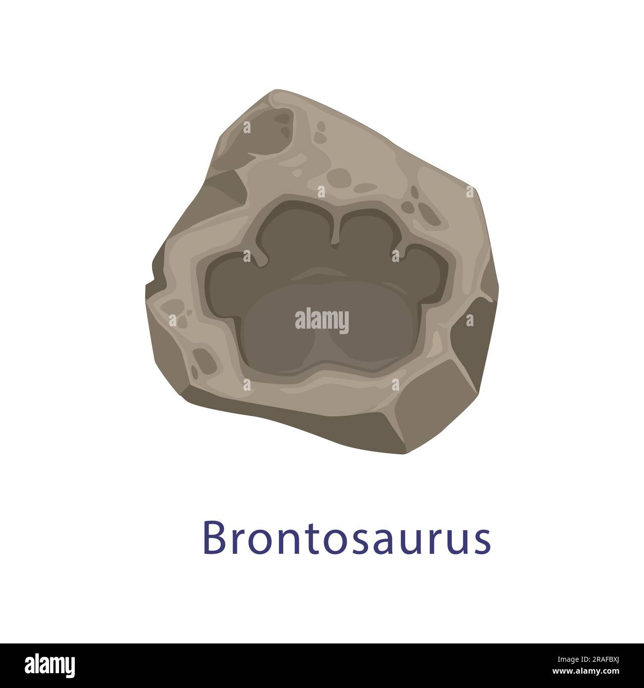 Fossil Impression Stock Vector Images Alamy