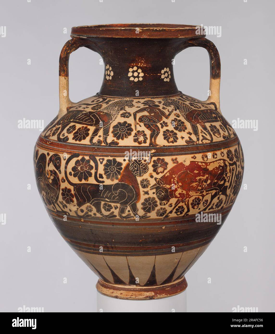 Terracotta Neck Amphora (storage Jar) 590 BC by Ancient Greek Pottery ...