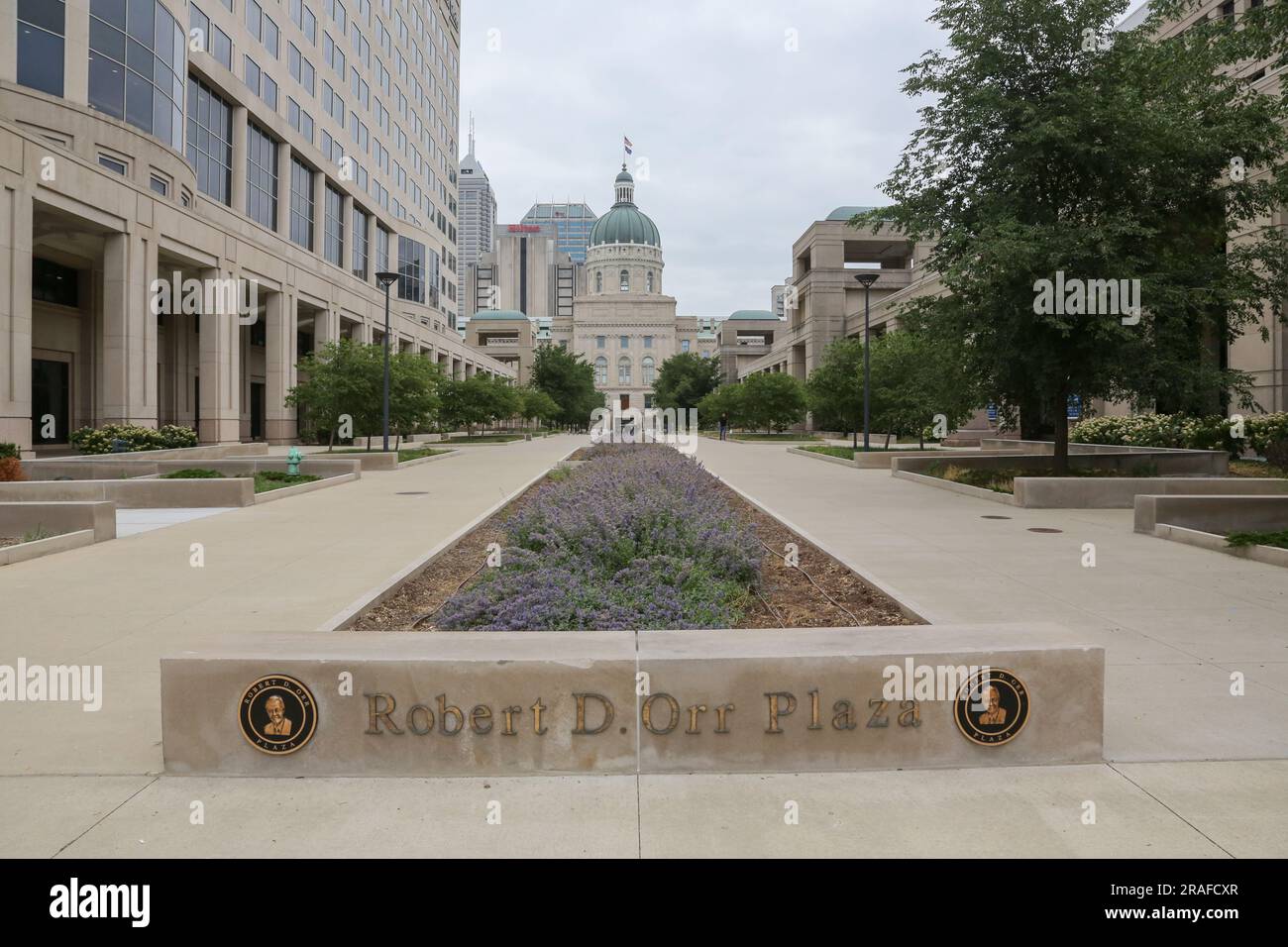 The state flower of indiana hi-res stock photography and images - Alamy