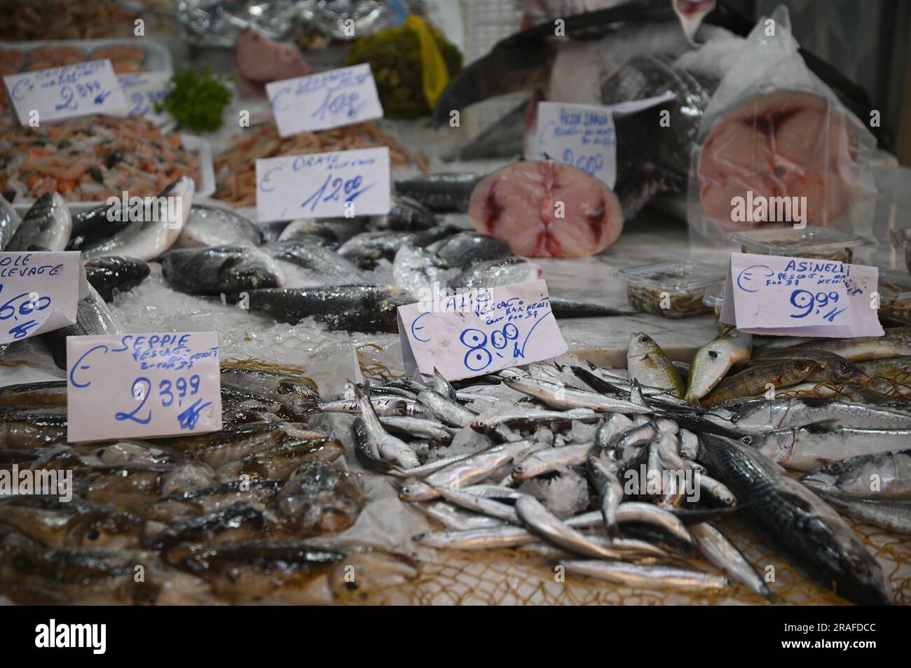 Variety of fish on display at the Monreale fish market in Sicily, Italy ...