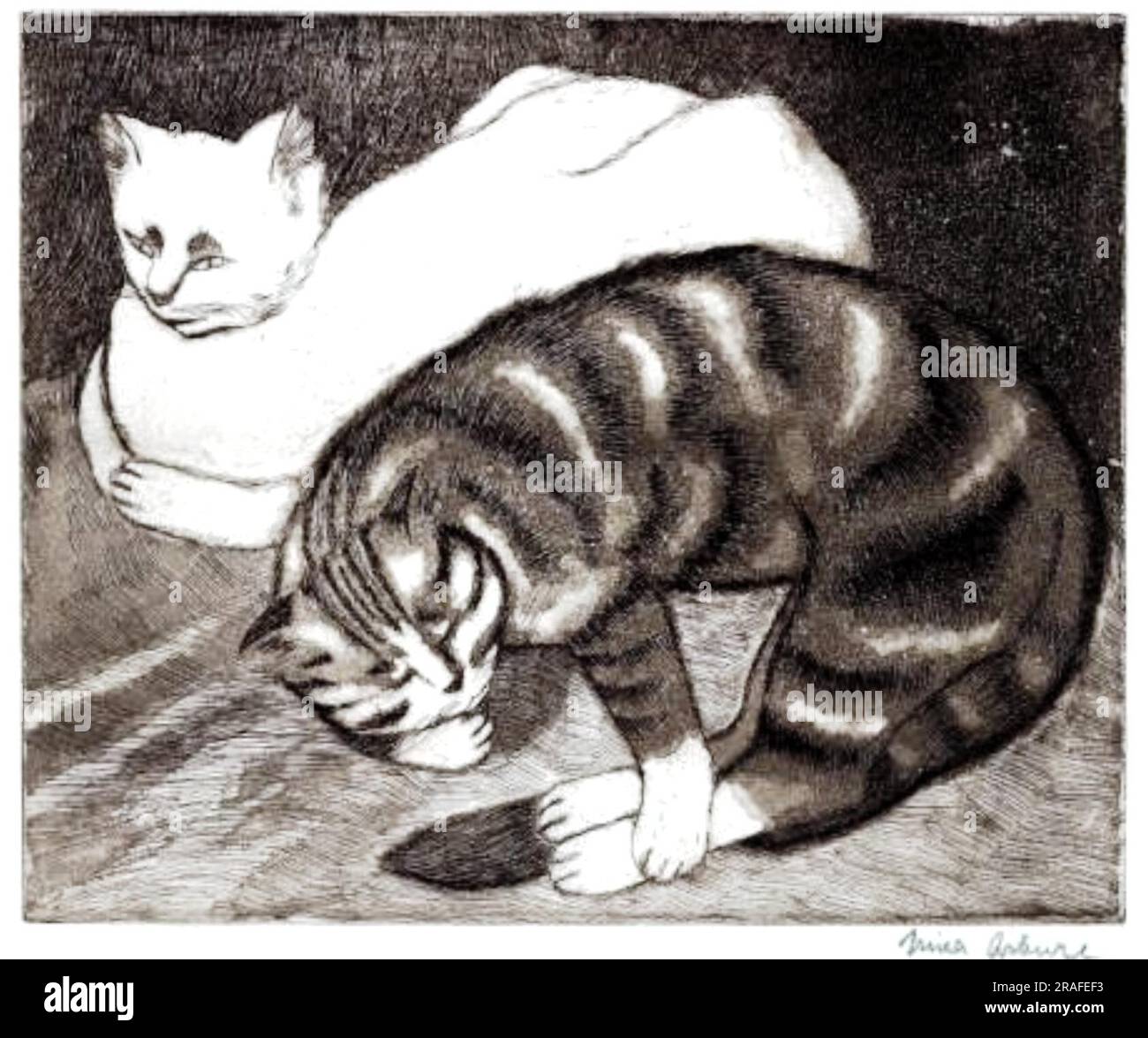 Nina arbore hi-res stock photography and images - Alamy