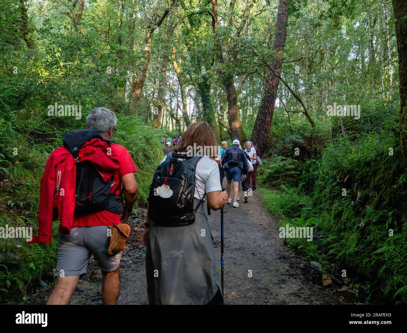 Melide, Spain. 01st June, 2023. Pilgrims are seen walking in line along ...