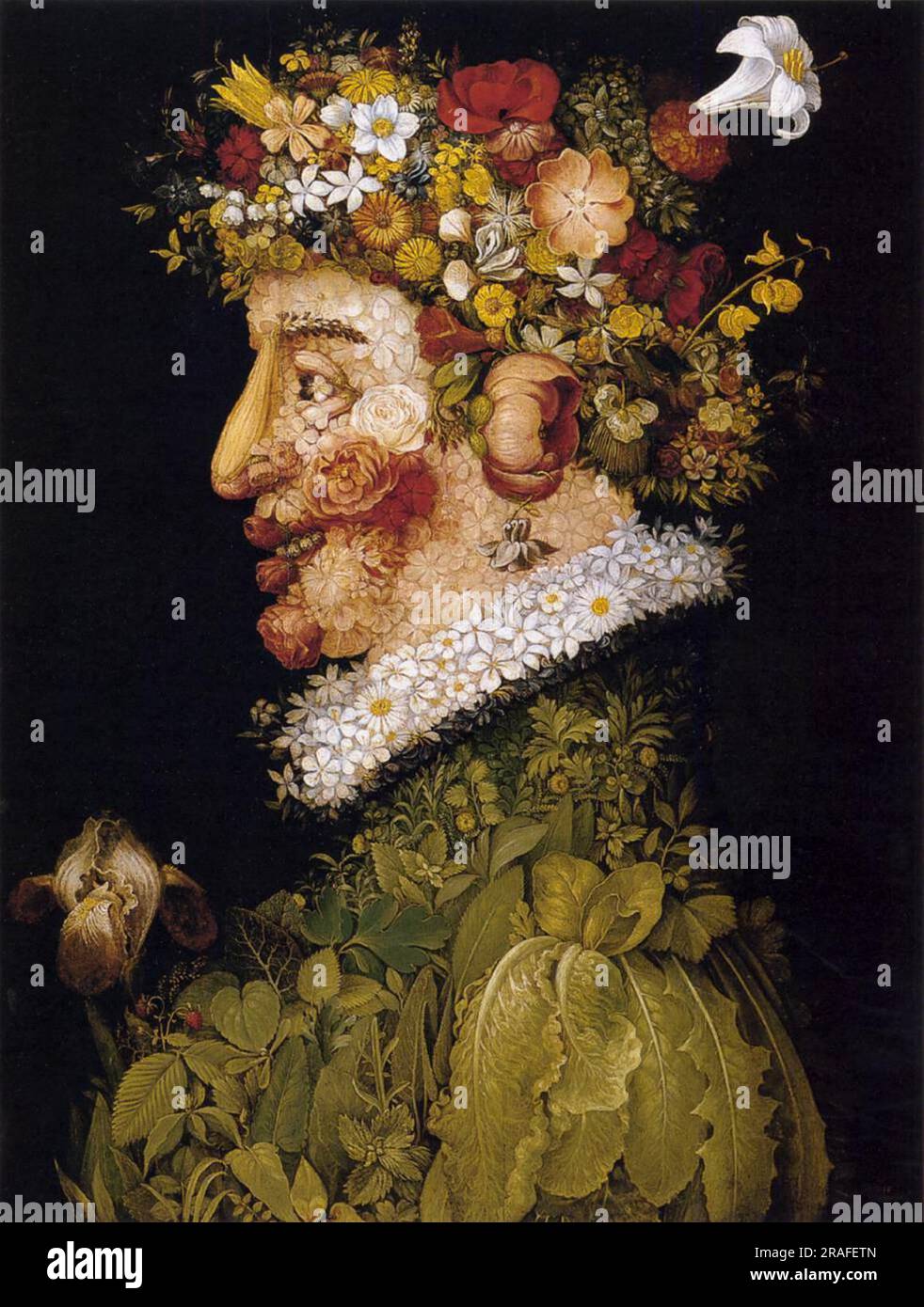 Spring 1563 by Giuseppe Arcimboldo Stock Photo - Alamy