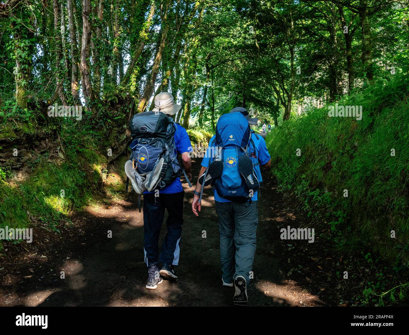 Melide, Spain. 01st June, 2023. Two pilgrims are seen walking with ...