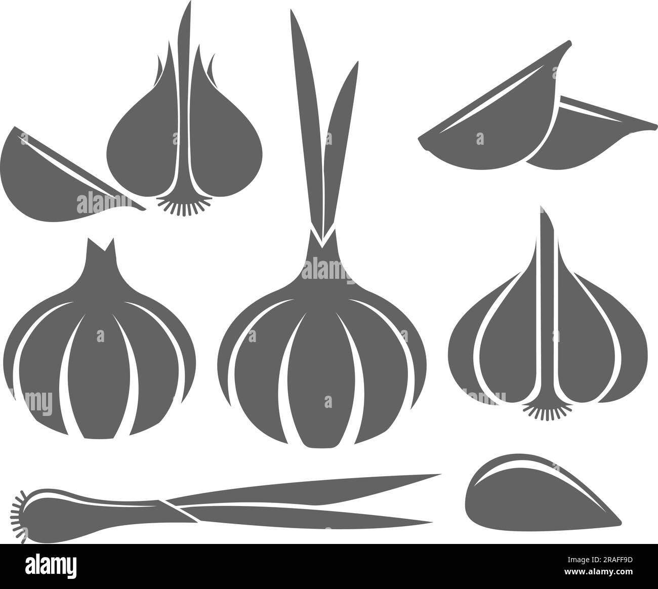 Garlic head icon Cut Out Stock Images & Pictures - Alamy