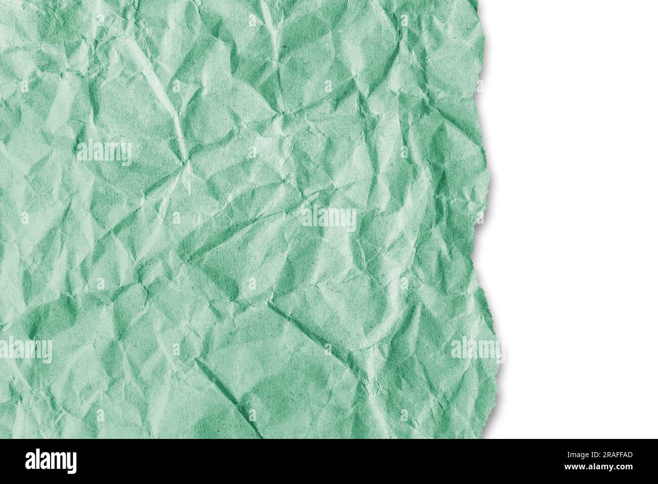 Recycled crumpled green paper texture with a torn edge isolated on ...