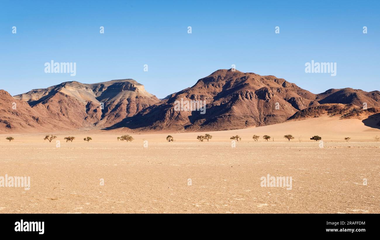 Kalahari desert namibia hi-res stock photography and images - Alamy