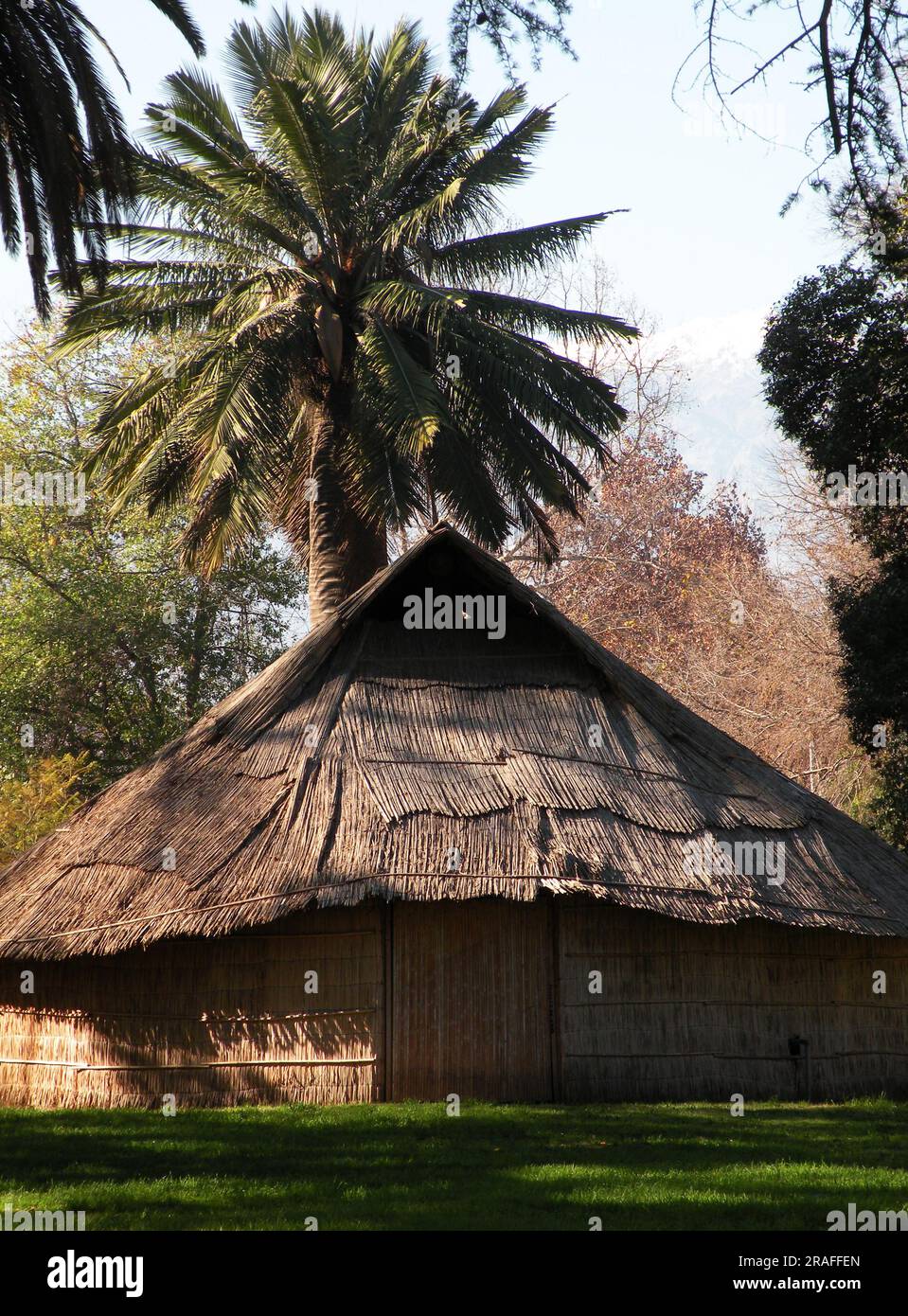 Rustic green house hi-res stock photography and images - Alamy