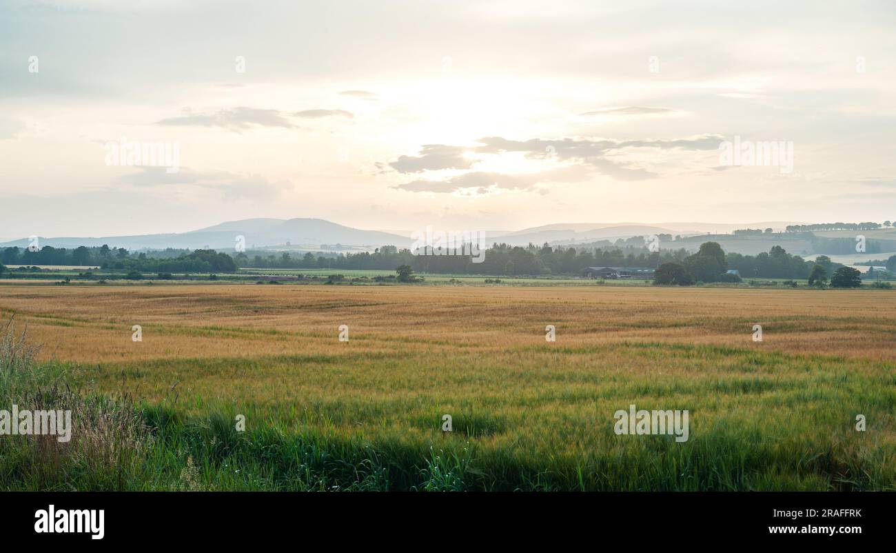 Sunset picture of farmland in Aberdeenshire, scotland Stock Photo - Alamy