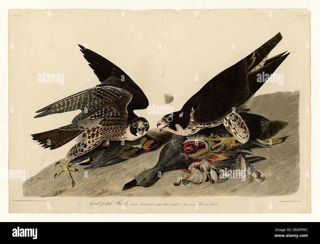 Footed plate hi-res stock photography and images - Alamy