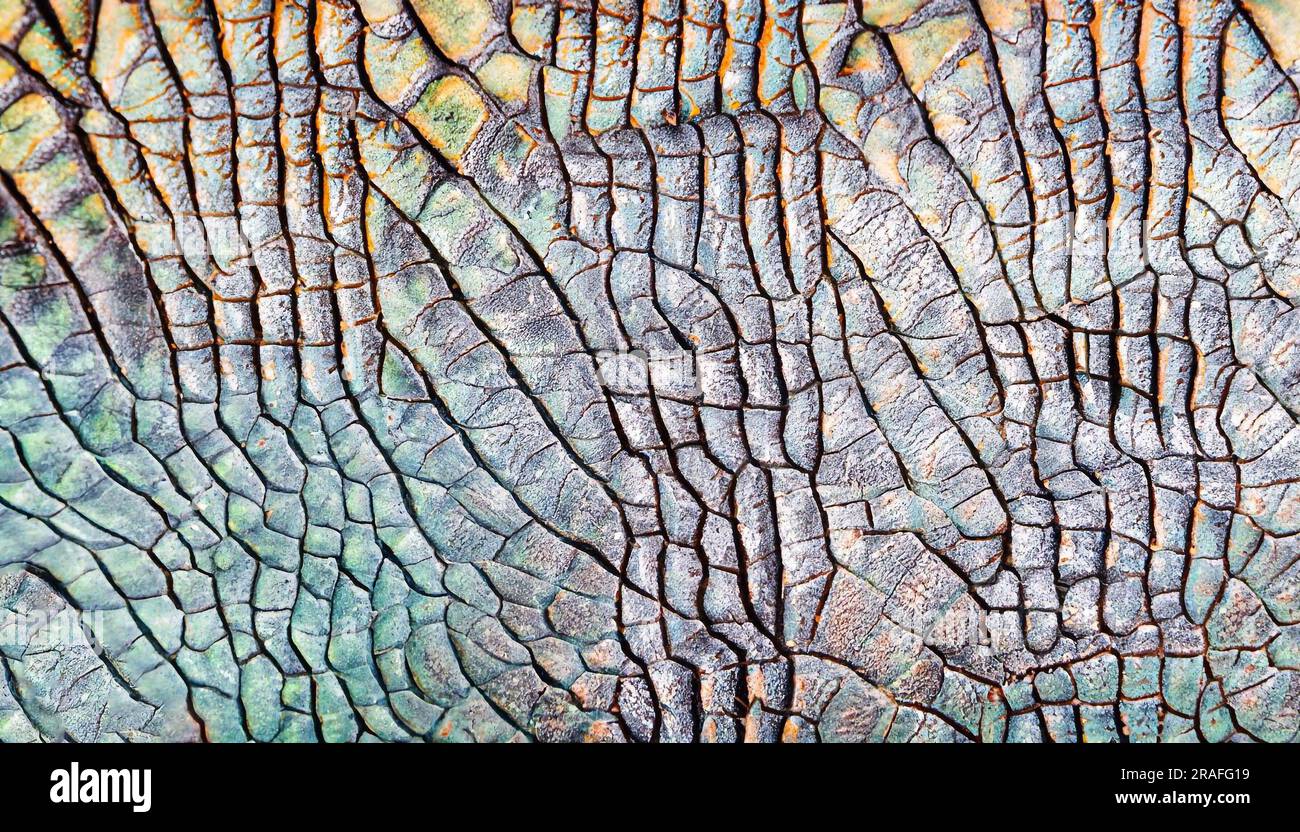 Primal design hi-res stock photography and images - Alamy