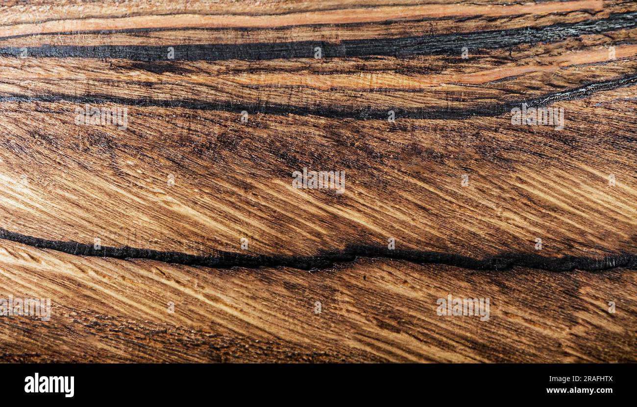 Texture of dark ebony wood. Dark natural background. Extremely high ...