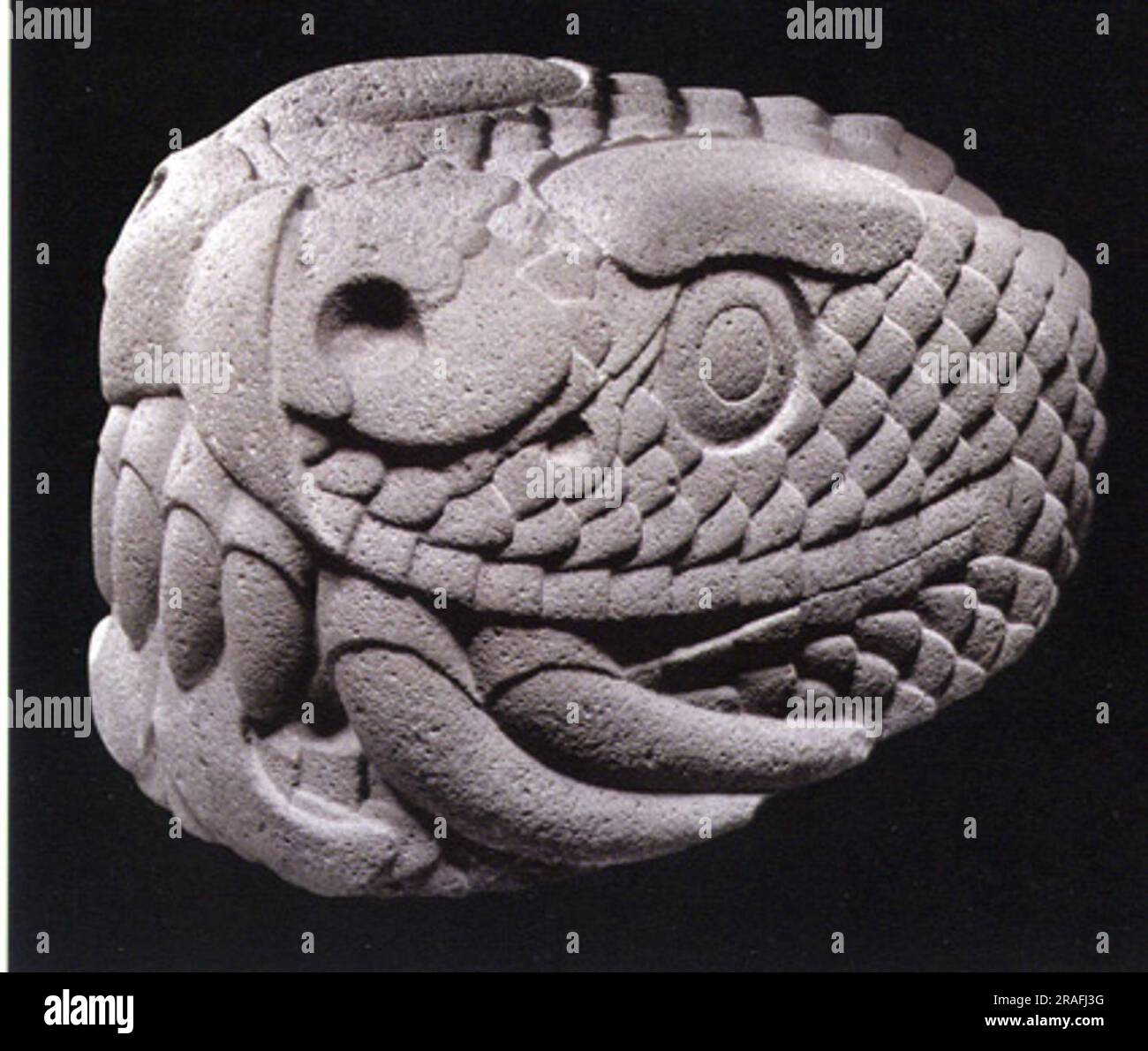 Aztec Serpent Head Drawing