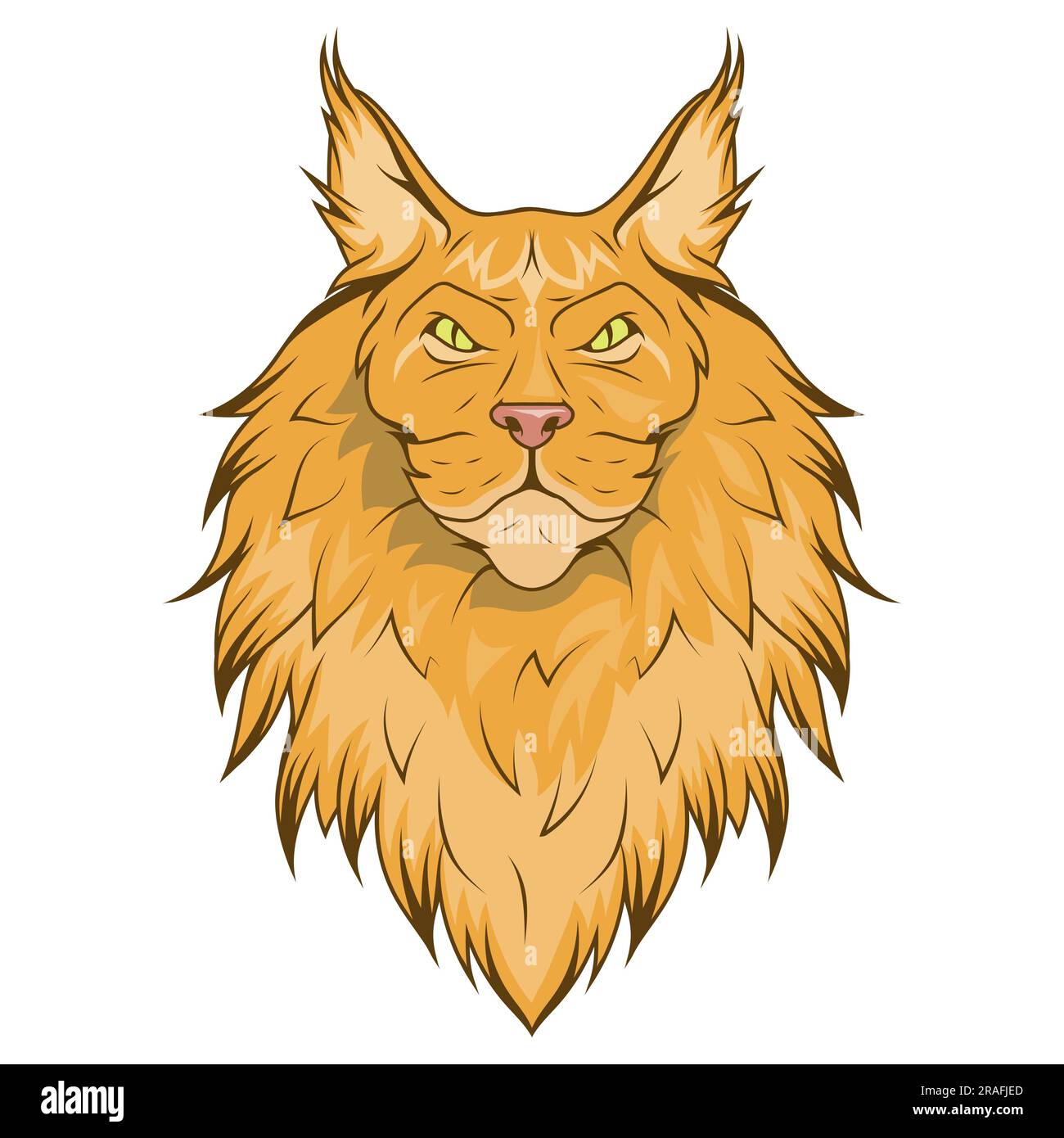 Maine Coon cat. Vector illustration of a Kitten ginger. Illustration ...