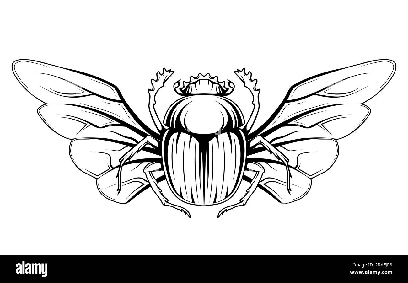 scarab beetle. Vector illustration of a sketch Magic symbol of pharaoh ...