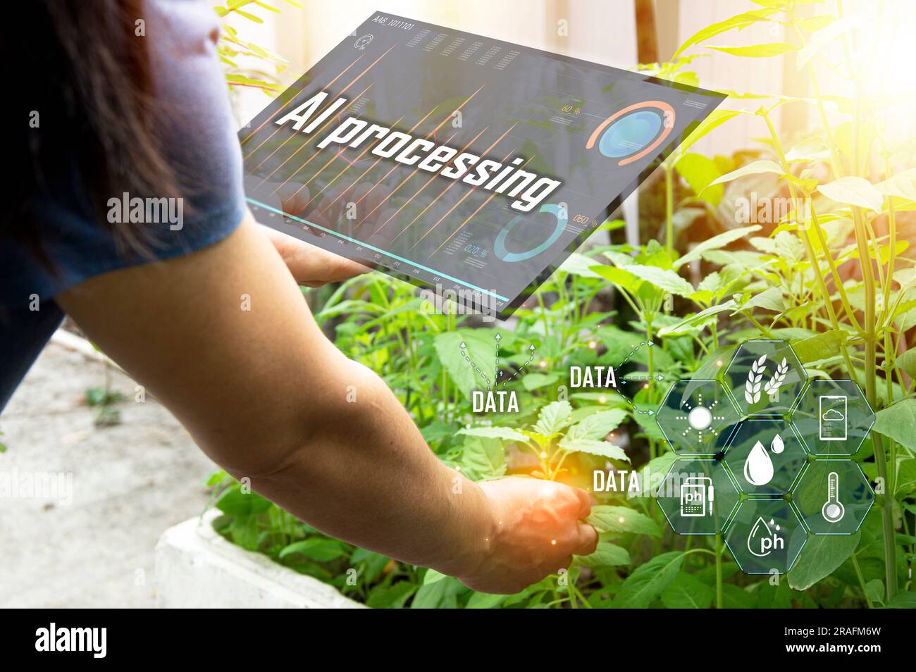 Smart farming robot hi-res stock photography and images - Alamy