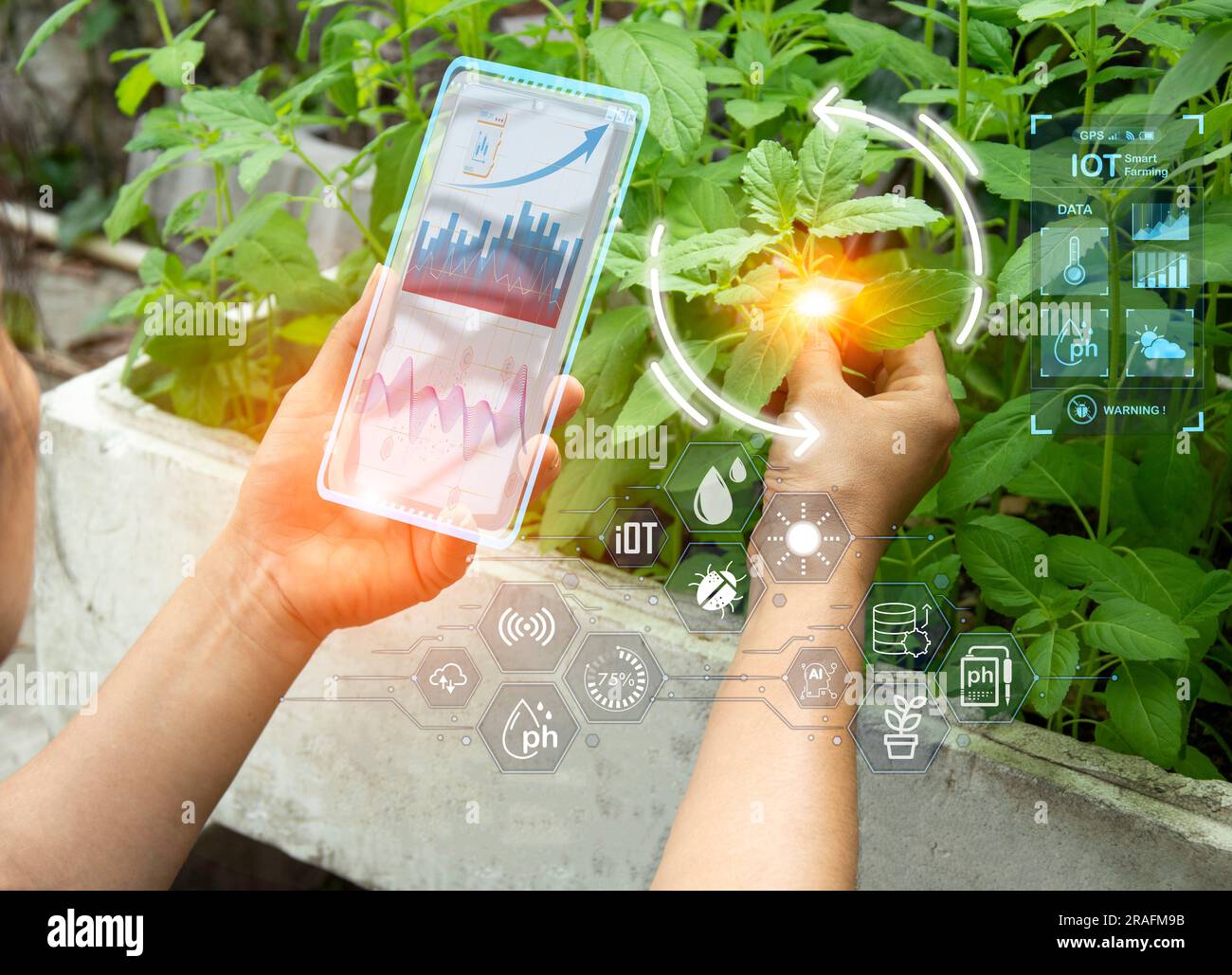 The concept of using AI and smart farming Stock Photo - Alamy