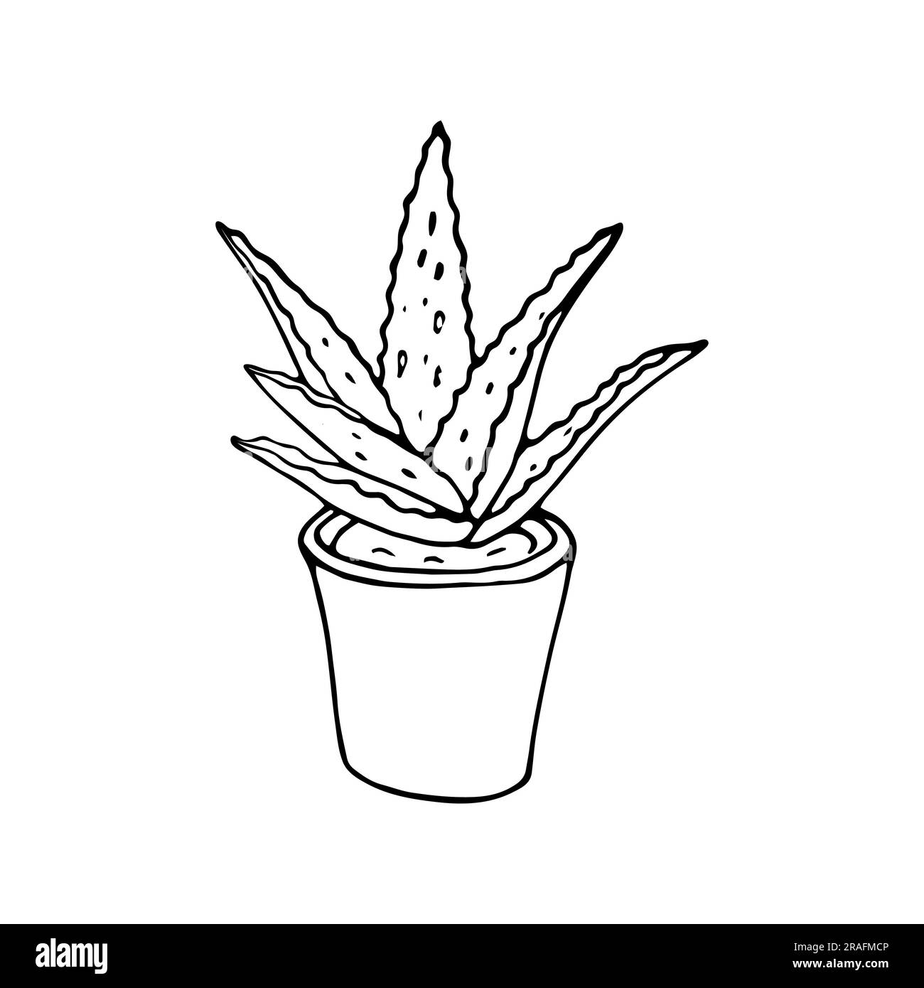 Hand-drawn aloe vera plant in a pot. Vector drawing of outline Aloe ...