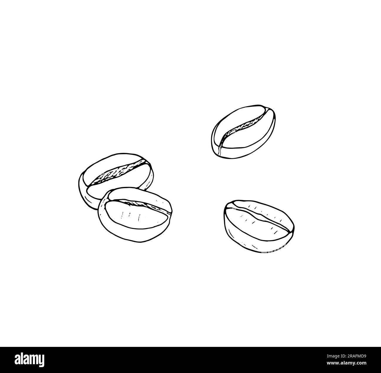 hand-drawn coffeHand-drawn coffee beans, isolated vector illustration on white background ...