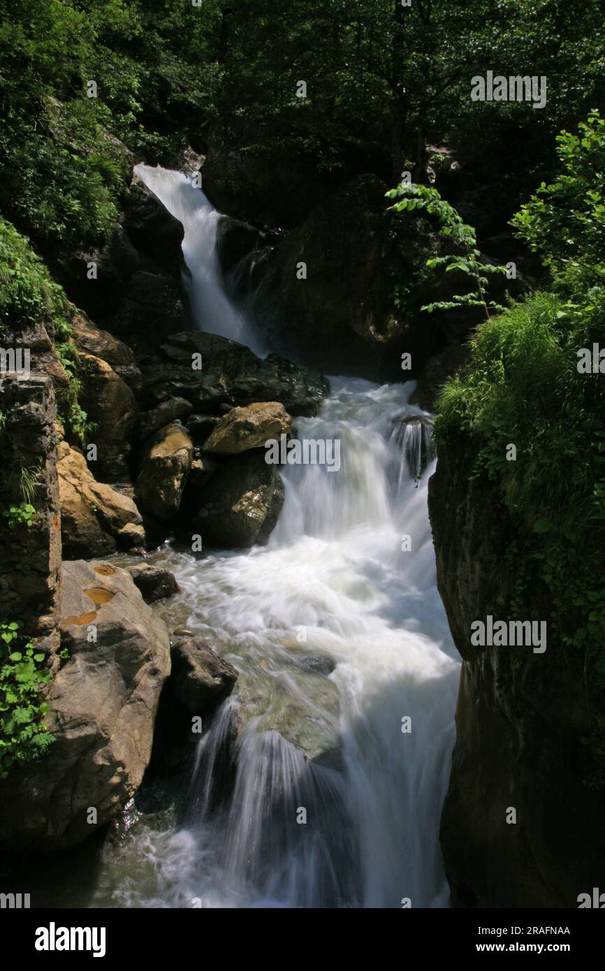 Altindere in Trabzon, Turkey Stock Photo - Alamy