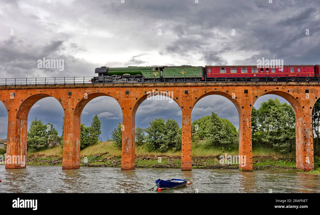 Flying Scotsman Steam Train 60103 crossing the Ferryden Viaduct ...