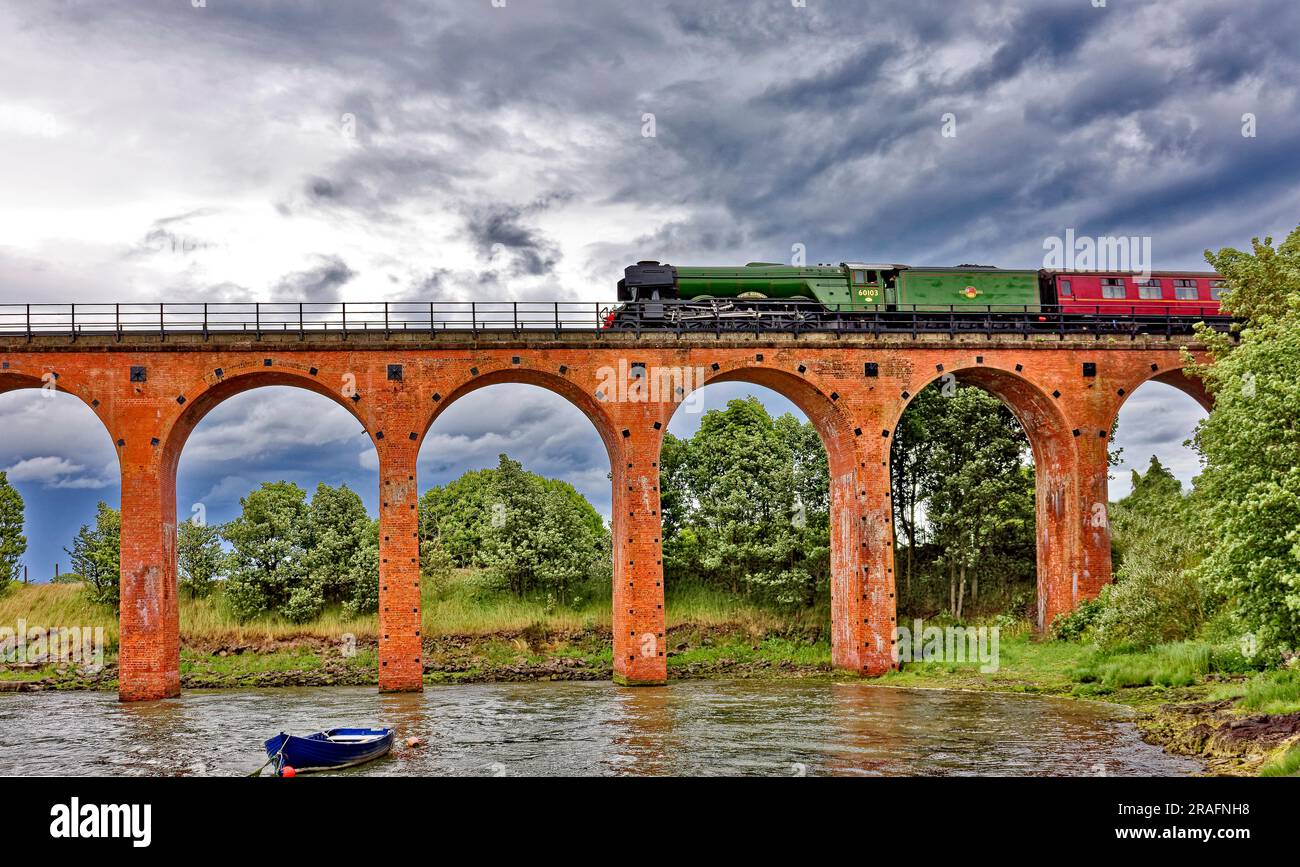 Viaduct montrose scotland hi-res stock photography and images - Alamy