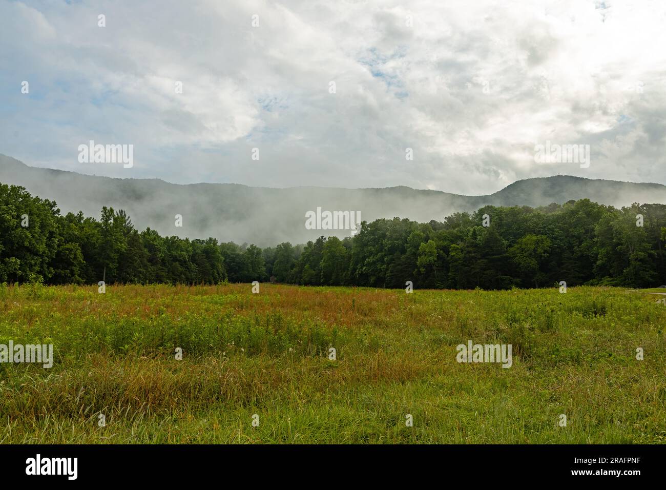 landscape in the Great Smoky Mountains National Park near Cades Cove ...