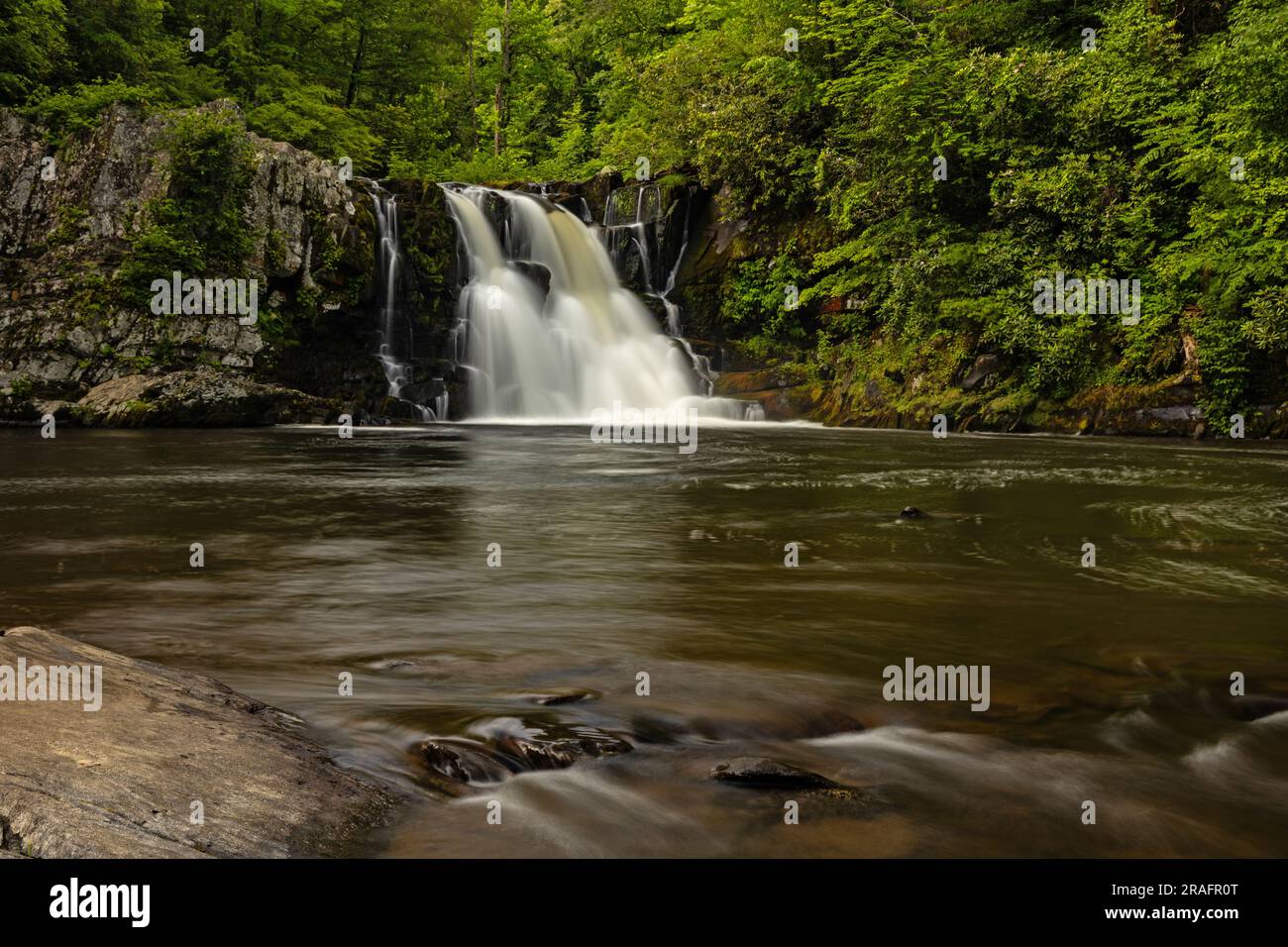 Abrams falls in great smoky mountains hi-res stock photography and ...