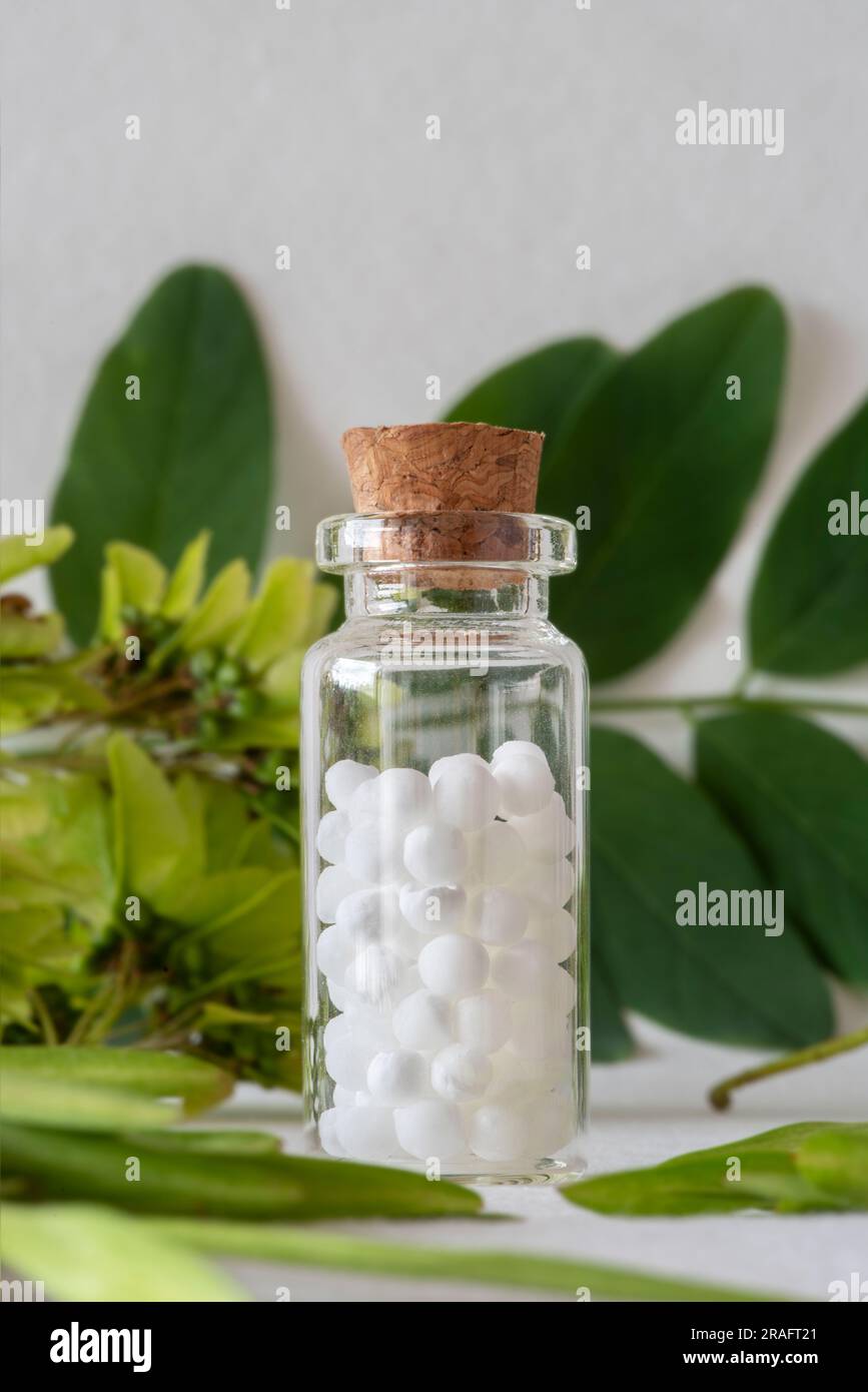 Alternative medicine with white homeopathic granules and natural plants ...