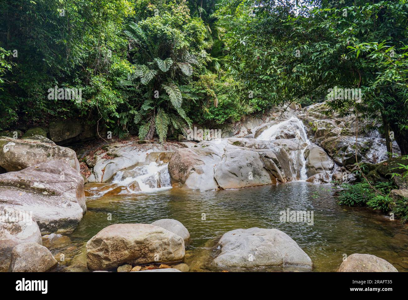 rainforest jungle landscape with waterfall at Gunung Gading National ...