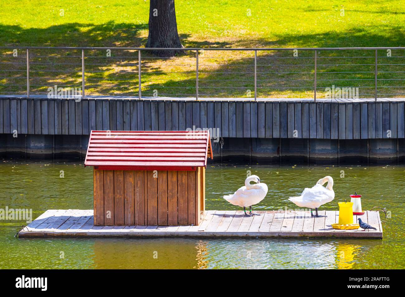 floating house for birds on the pond. bird house on the city pond. High ...