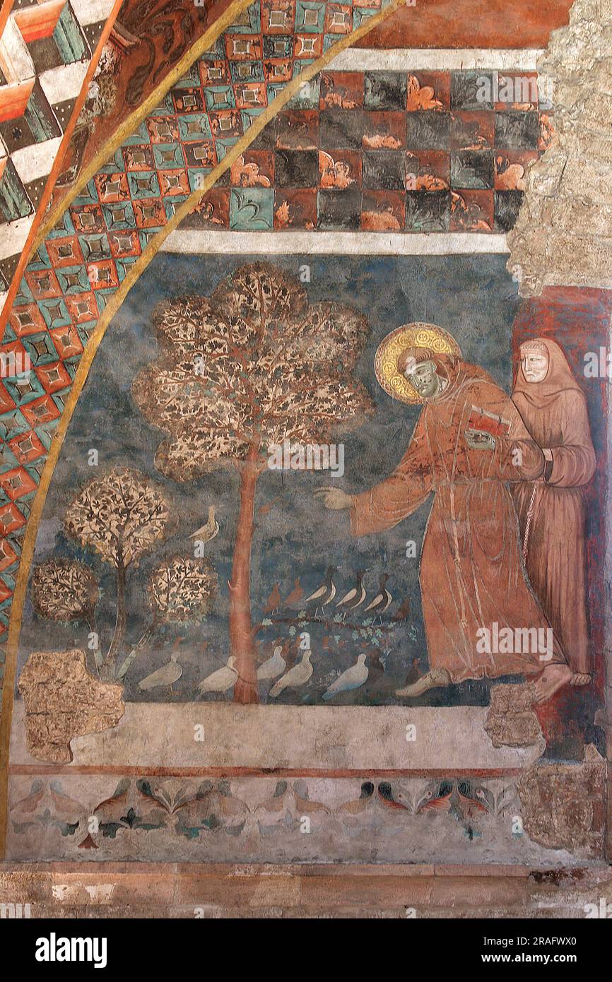 Maestro di San Francesco, Assisi, Lower Basilica, Umbria, Italy Stock ...