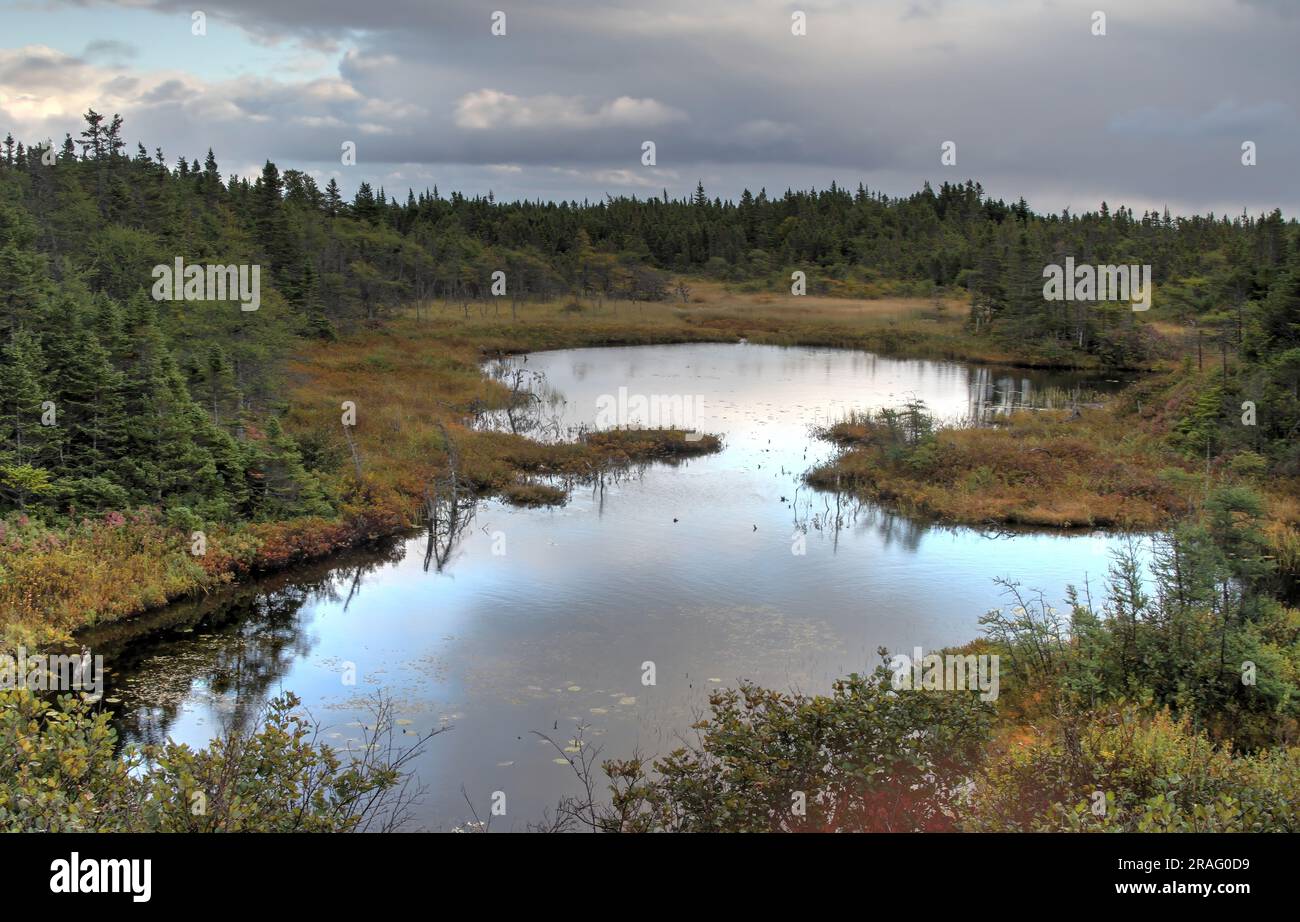 view of Nature in NewFoundLand, canada Stock Photo - Alamy