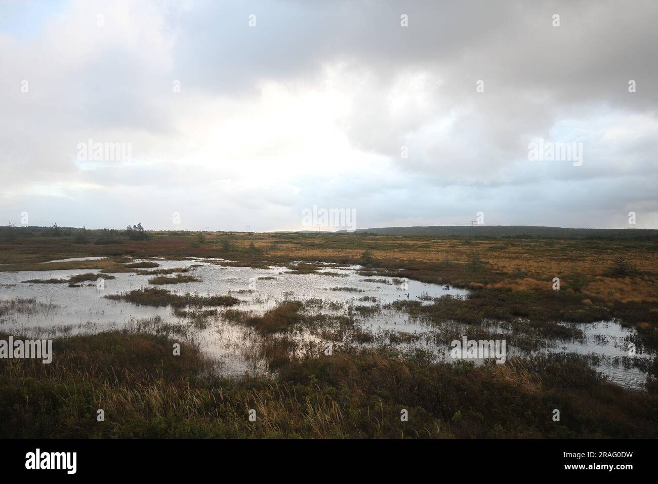 view of Nature in NewFoundLand, canada Stock Photo - Alamy