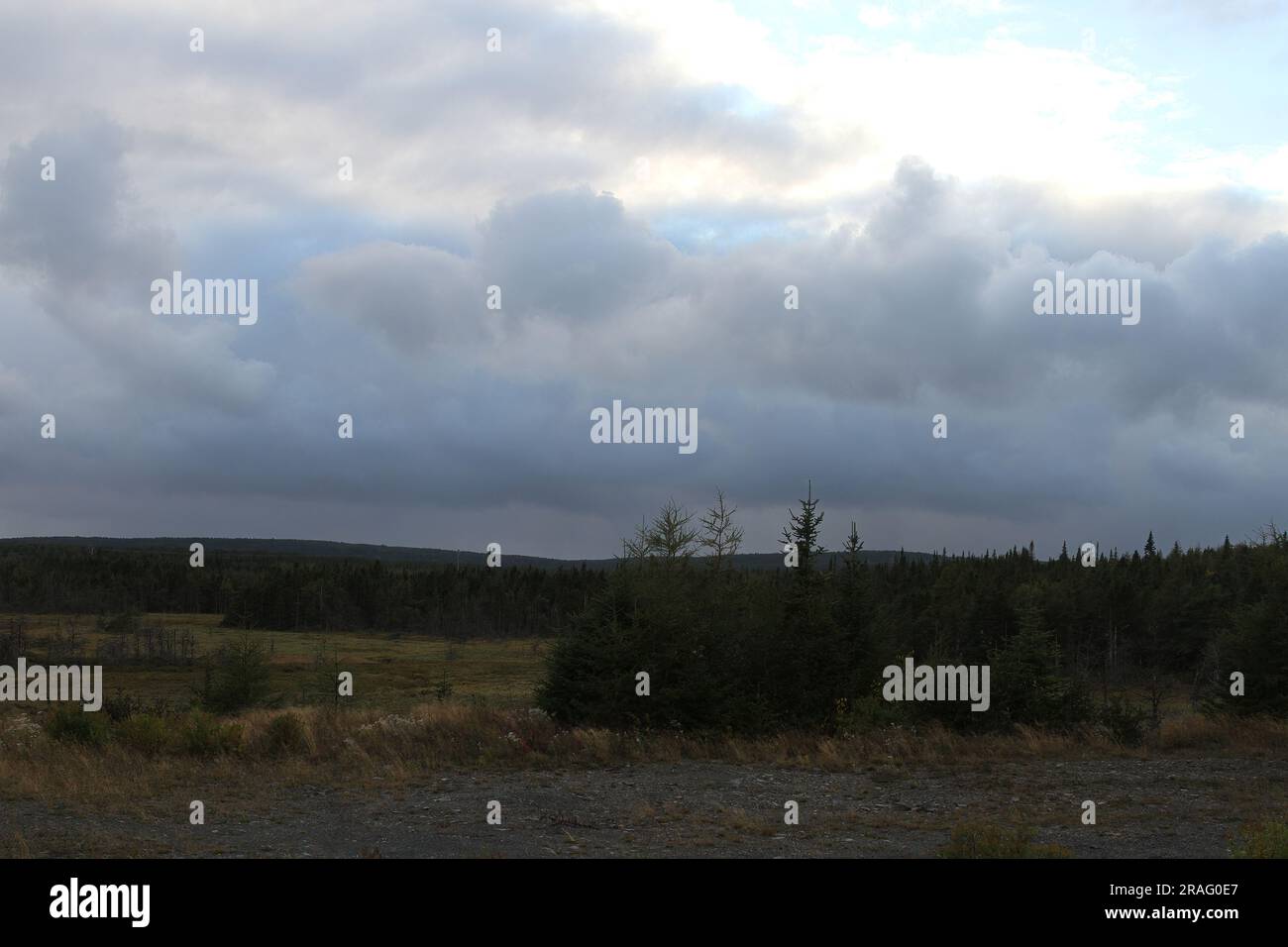 view of Nature in NewFoundLand, canada Stock Photo - Alamy