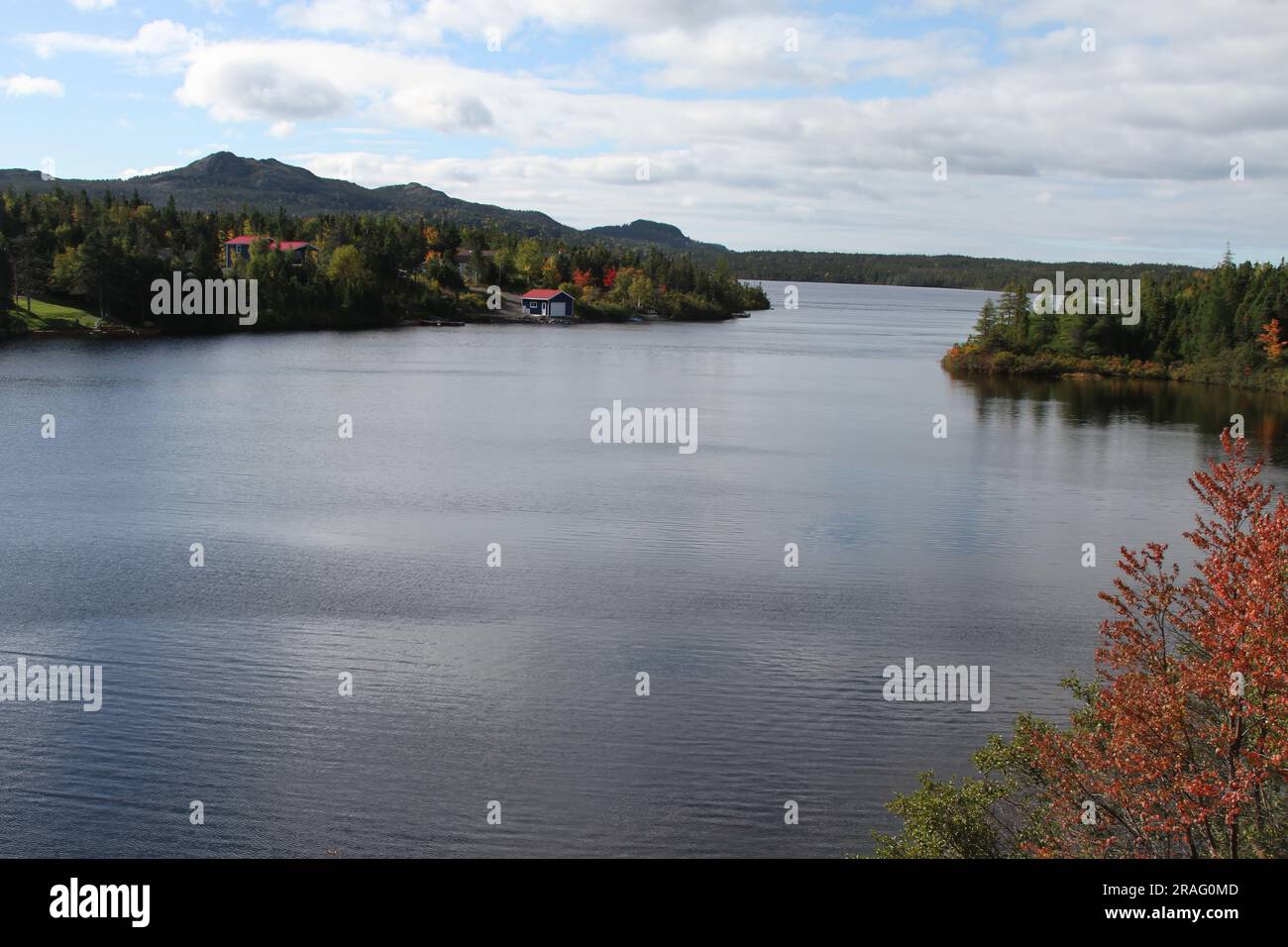 view of Nature in NewFoundLand, canada Stock Photo - Alamy