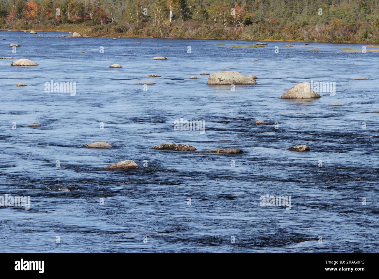 view of Nature in NewFoundLand, canada Stock Photo - Alamy