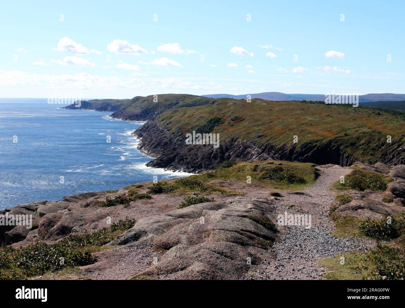 view of Trinity, Newfoundland,Canada Stock Photo - Alamy