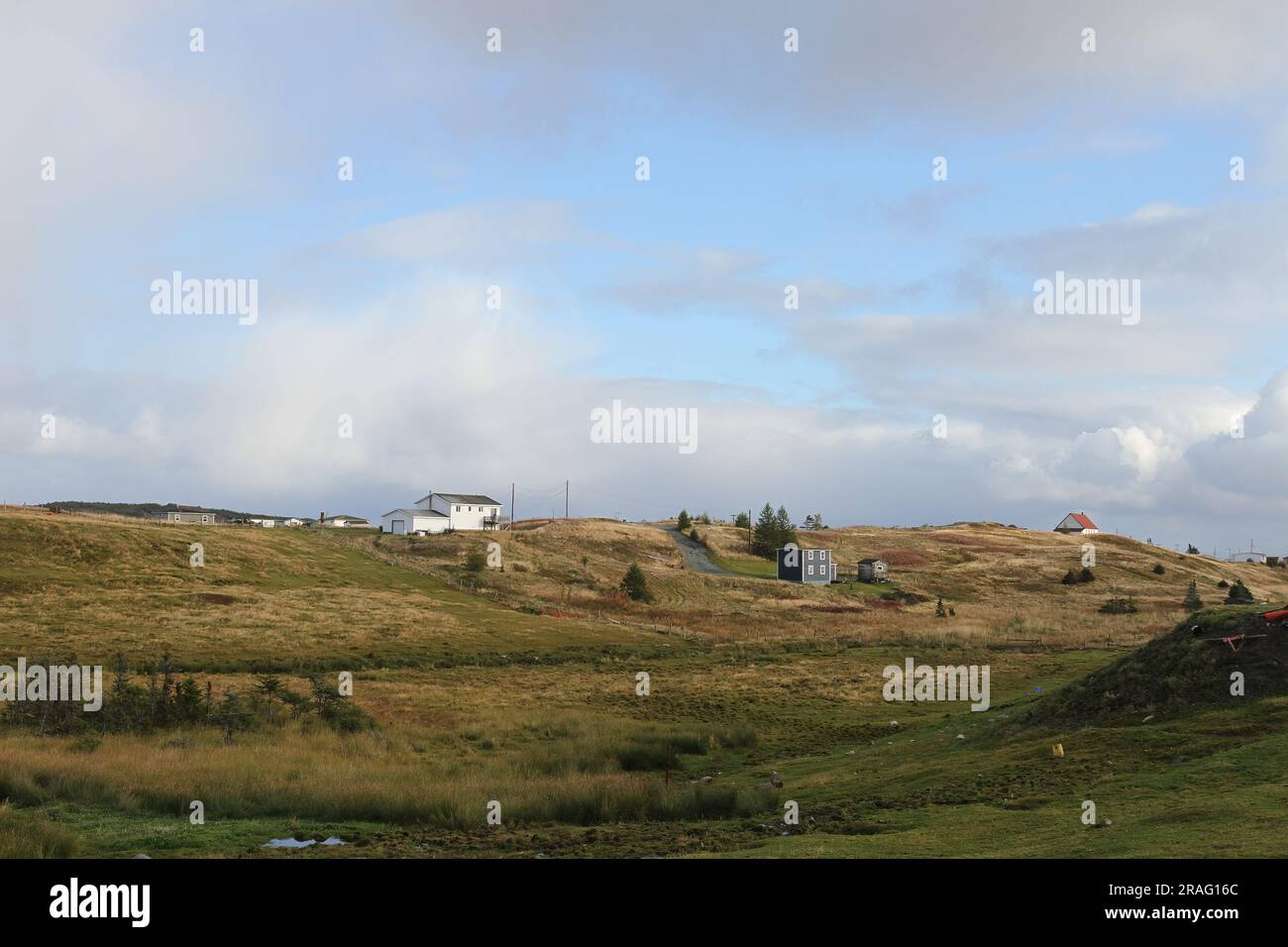 view of Trinity, Newfoundland,Canada Stock Photo - Alamy