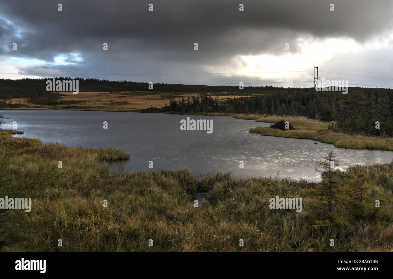 view of Trinity, Newfoundland,Canada Stock Photo - Alamy