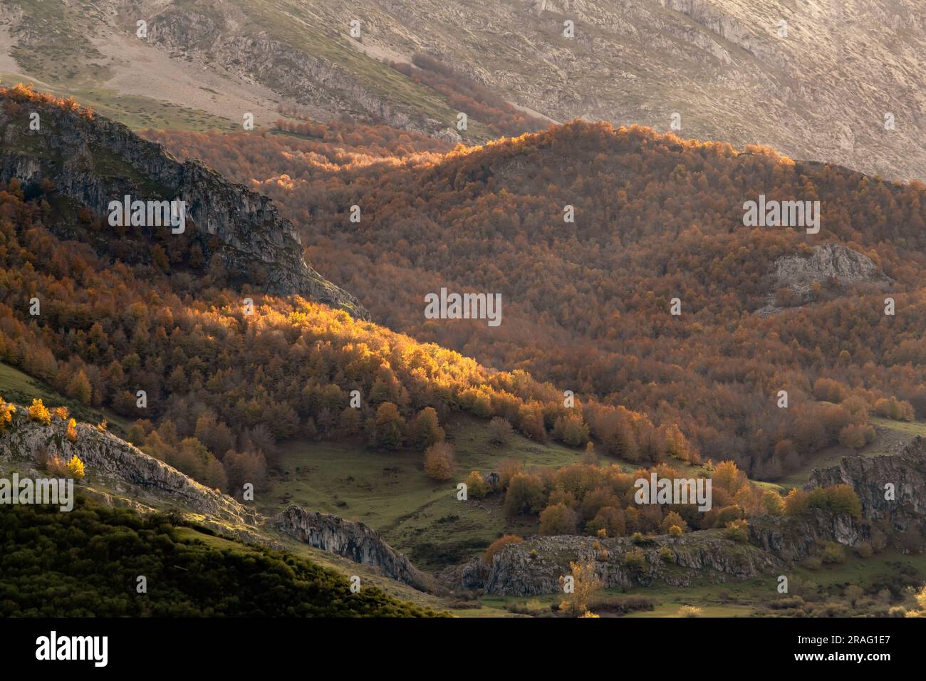 Montana de leon hi-res stock photography and images - Alamy