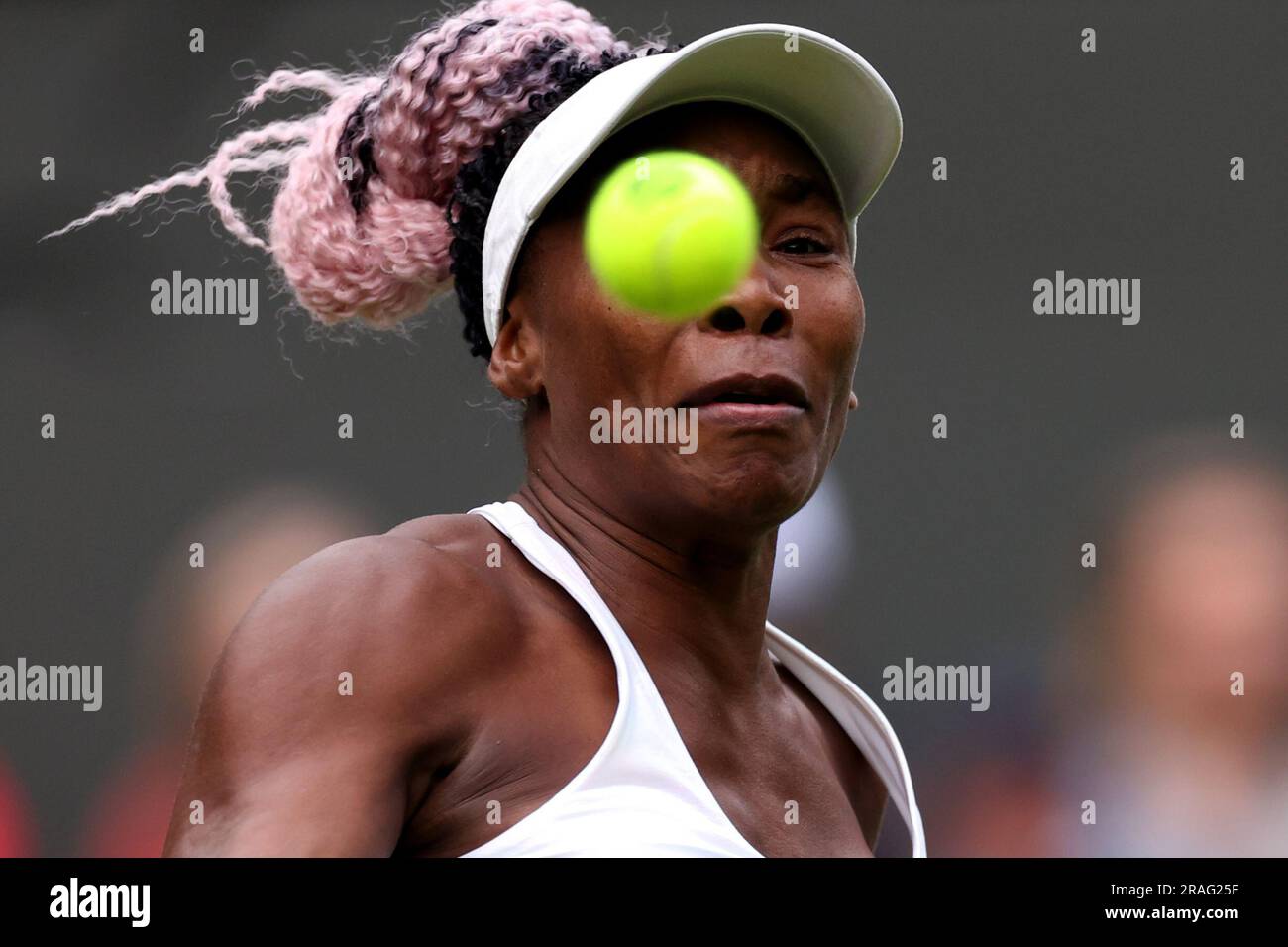 Venus williams elina svitolina hi-res stock photography and images - Alamy